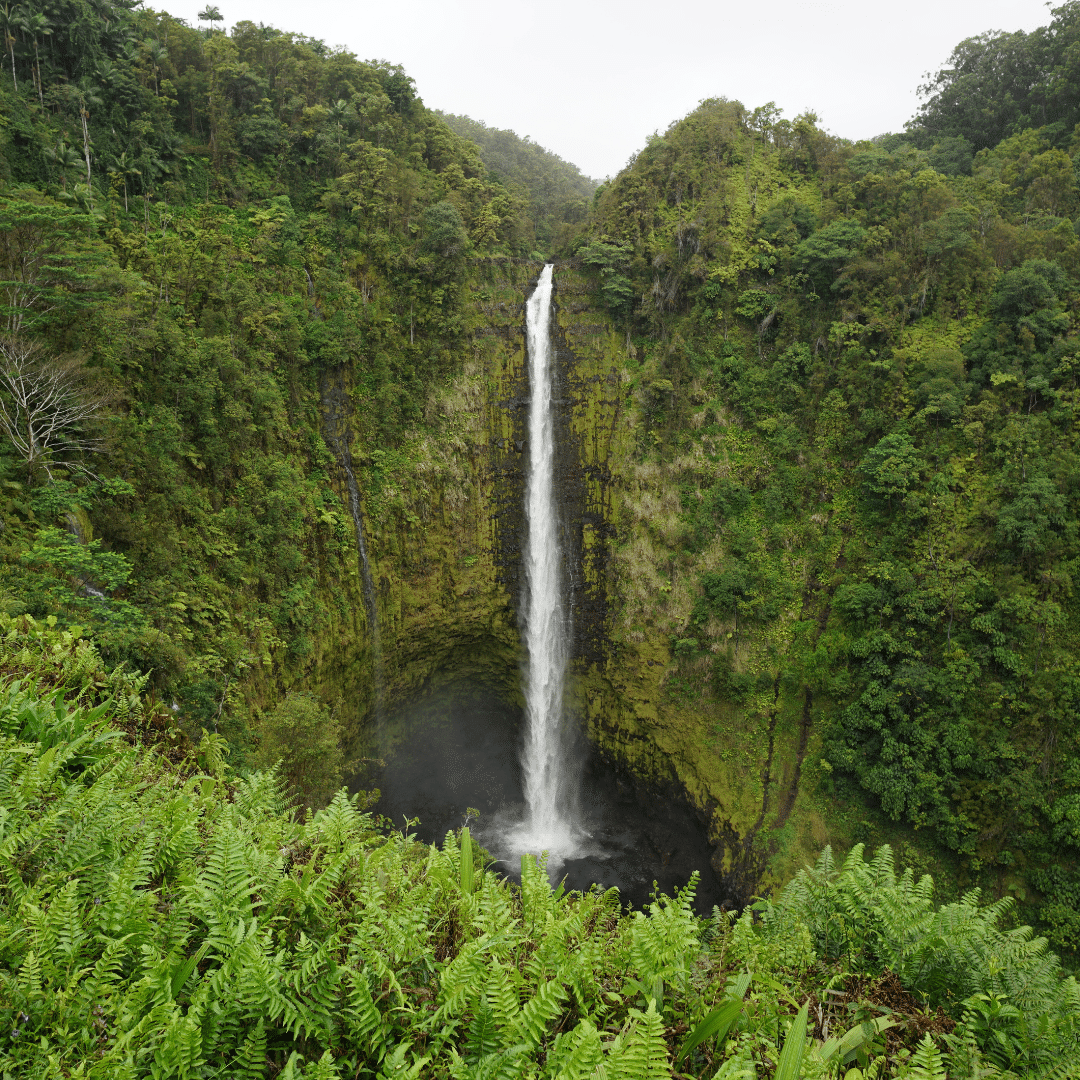 19 Fun Things to Do on a Day Trip to Hilo - Volcano Heritage Cottages